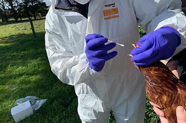 Biosecurity | Biosecurity